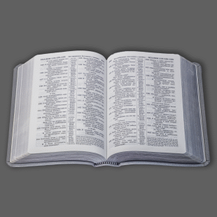 Get Bible Reader NWT - Microsoft Store