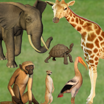 Click Zoo - Free download and play on Windows | Microsoft Store