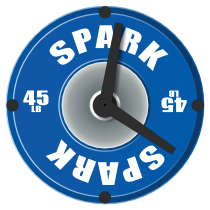 Spark Timer - Download and install on Windows | Microsoft Store